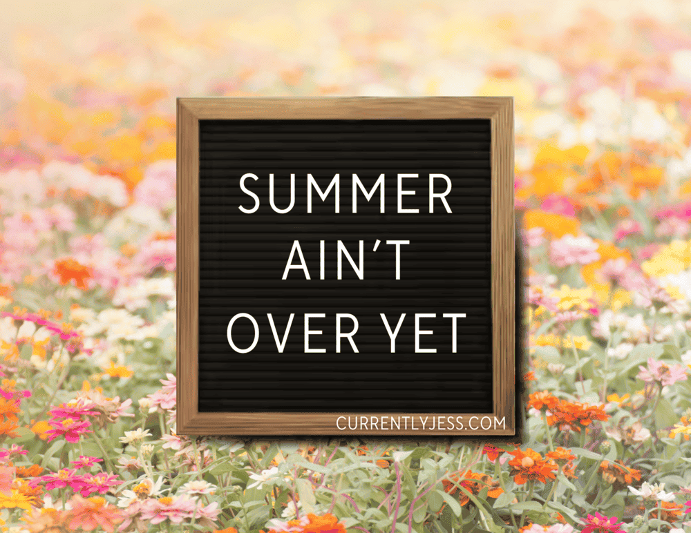 115+ Summer Letter Board Quotes to Brighten Your Home - Currently Jess